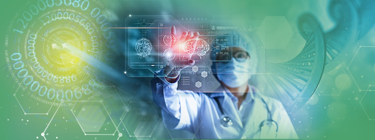 Reproductive System - Bio Lexicon