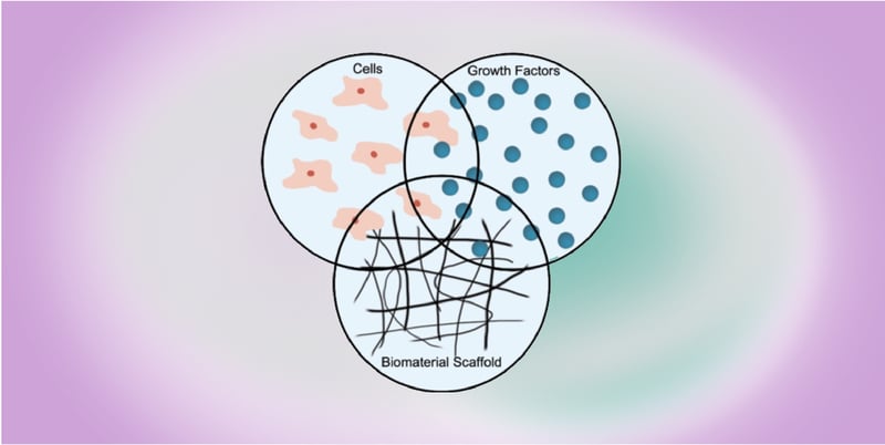 Scaffold - Bio Lexicon